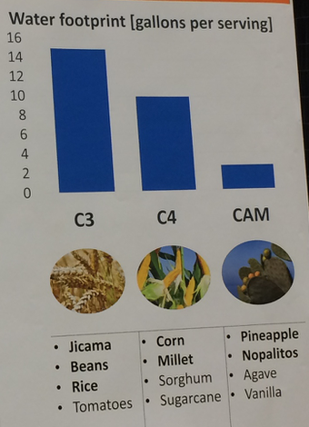 Photosynthesis Dinner! | Princeton Studies Food